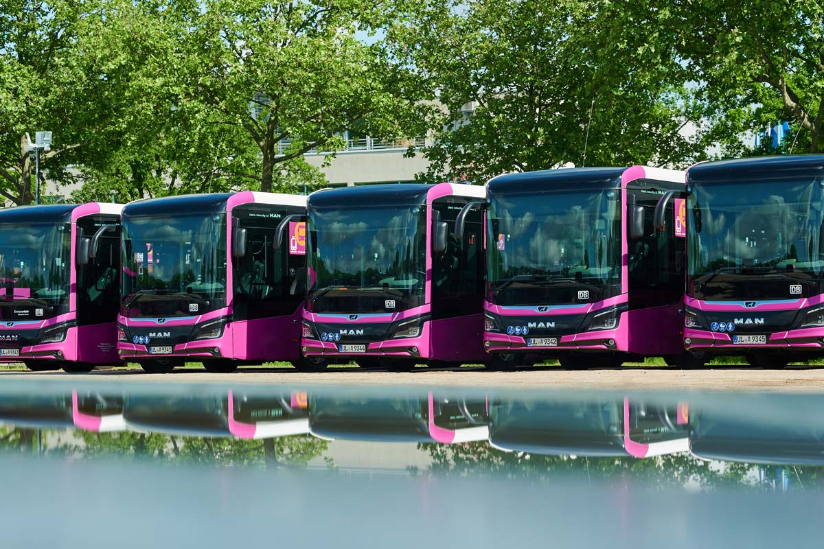 Largest bus contract in MAN company history | Facts